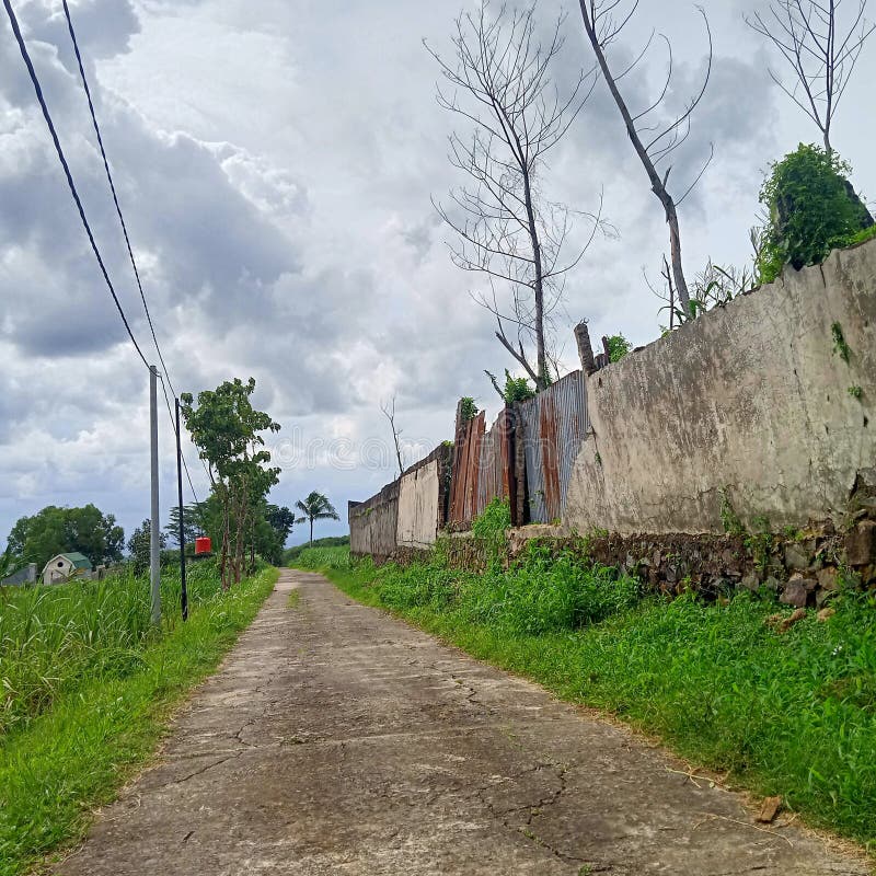 Road on the Edge of the Fields Towards the Village Stock Photo - Image of track, village: 306018732