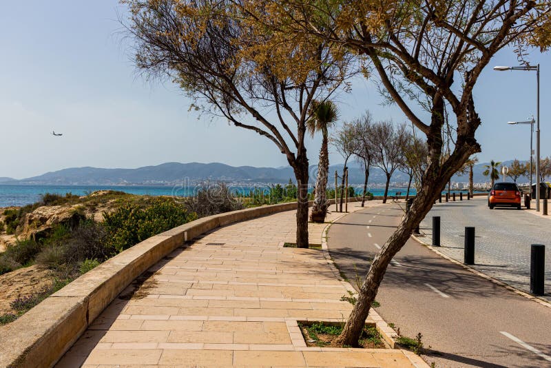 Road and Empty Sidewalk with a Row of Trees. Stock Photo - Image of ...