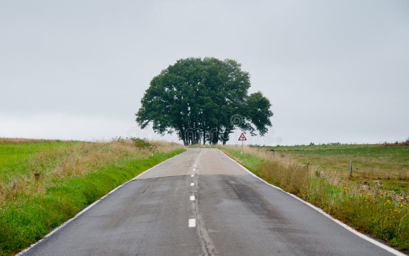 The Road Ending at the Tree Stock Photo - Image of curve, white: 123756146