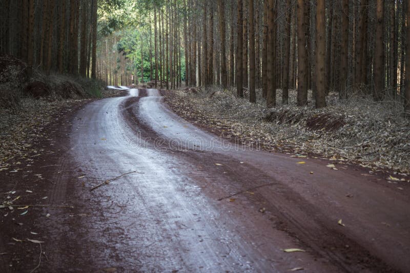 Road stock image. Image of road, nature, outdoor, people - 80633049
