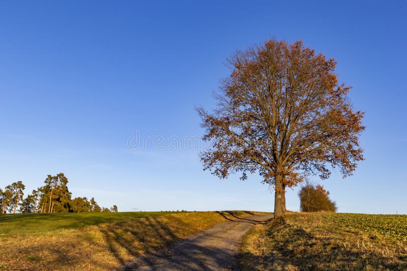 Road in the European Countryside. Early Spring Stock Photo - Image of ...