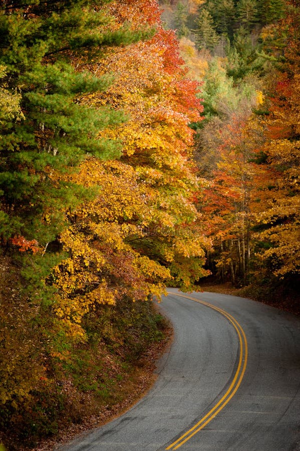 Road in fall stock photo. Image of transportation, seasons - 16746608
