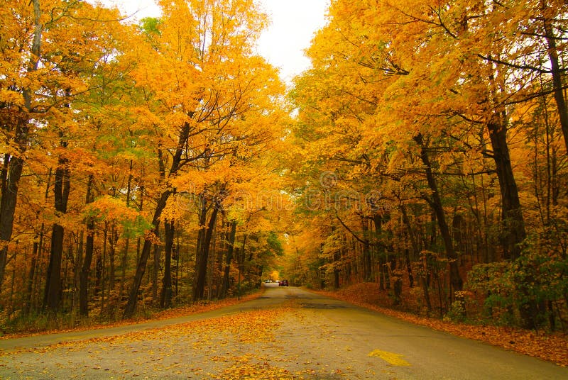 The road into the Fall stock image. Image of tint, golden - 6957121