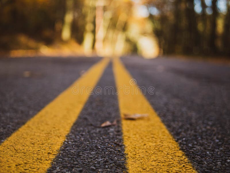 On the road in the Fall. stock image. Image of seasonal - 231440407