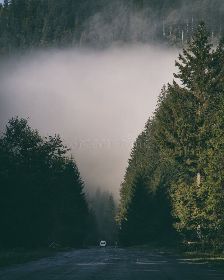 Road in Fall Covered in Thick Fog Stock Image - Image of colors, road ...