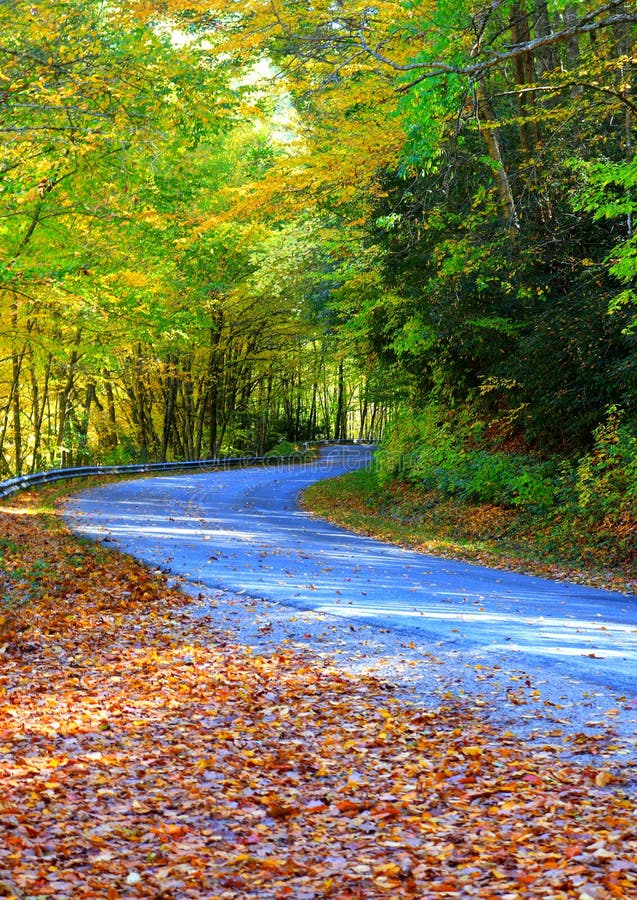 Road in Fall I& X27;m Smokies Stock Photo - Image of foliage, road ...