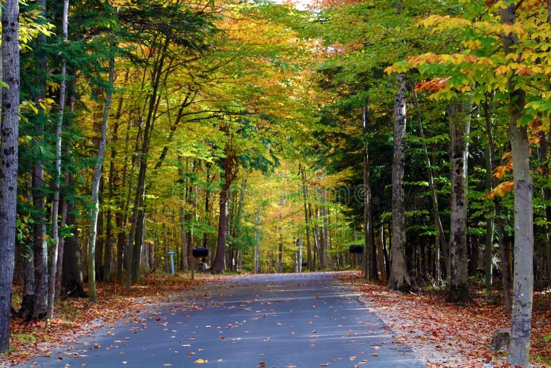 Road into Fall in Michigan Colorful Trees Stock Image - Image of golden ...