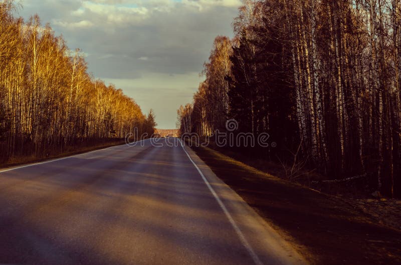The Road in the Fall. the Road Passes through the Forest Stock Photo ...