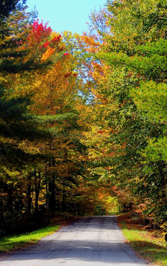 Road in Fall stock image. Image of foliage, fall, quebec - 136456113