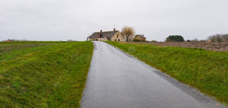Road on a farm stock photo. Image of sunset, sunrise - 15781810