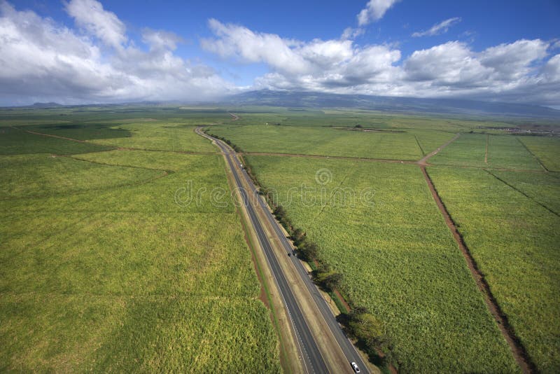 Road through farmland. stock photo. Image of highway, nature - 3179384