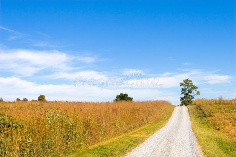 Road through field stock photo. Image of grasses, colour - 16534656