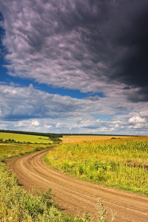 Road in the field stock photo. Image of scene, color - 17167852