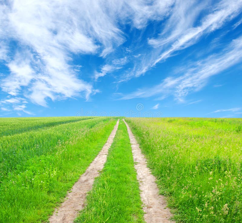 Road in field stock photo. Image of adventure, landscapes - 7892042