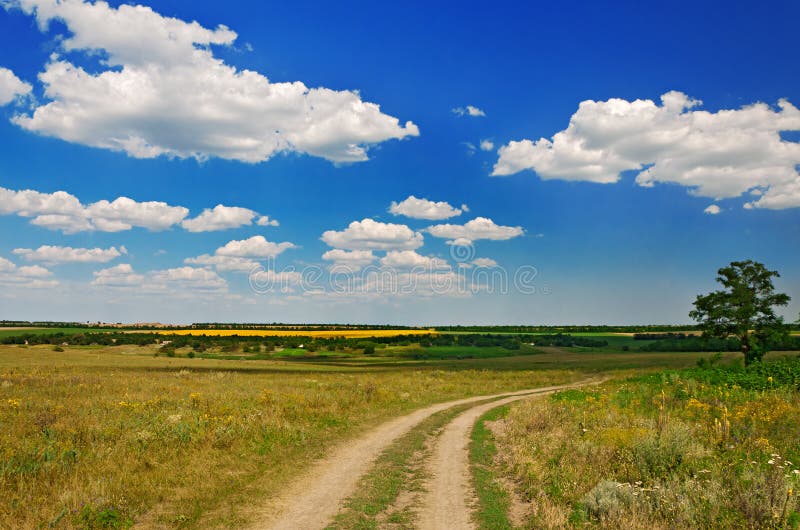 Road in a field stock photo. Image of season, field, meadow - 18898322