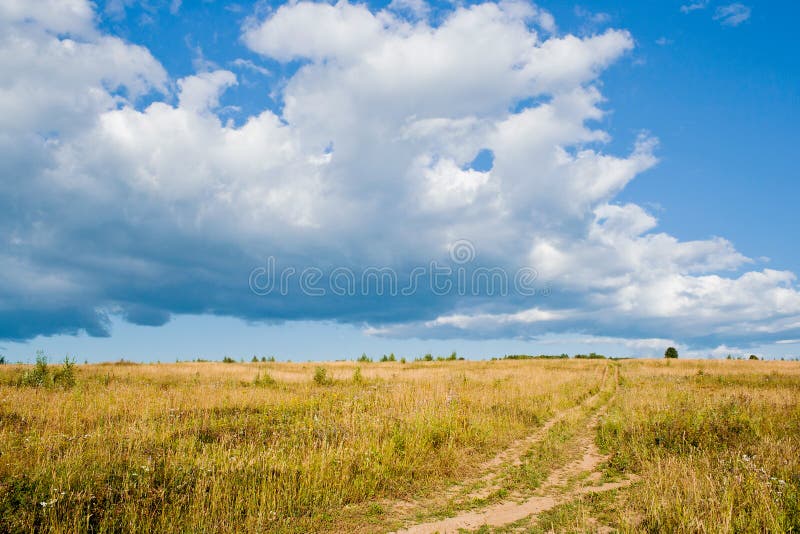 Road in field stock photo. Image of beauty, plant, freedom - 23513114
