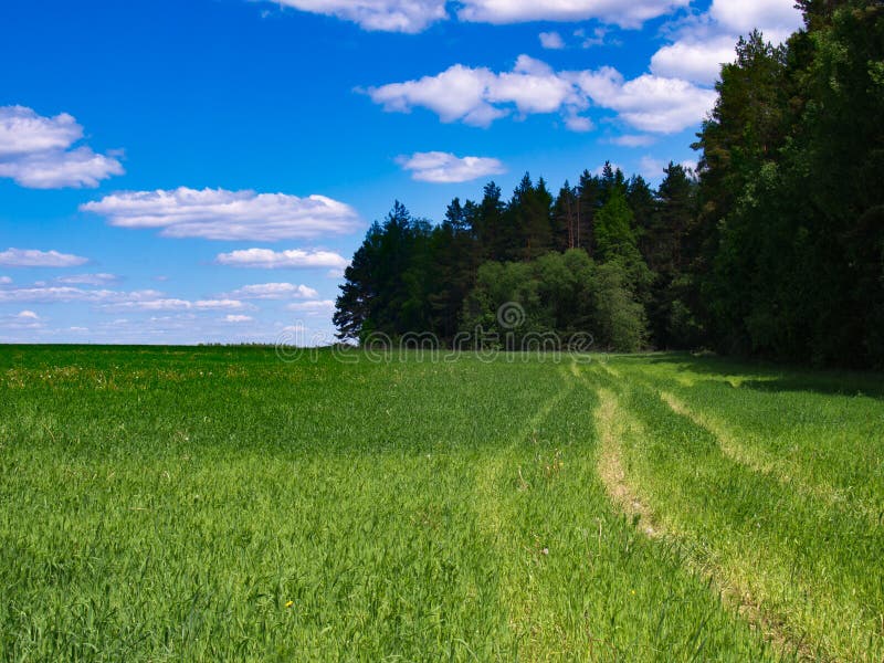 Road through field. stock image. Image of edge, single - 25364185