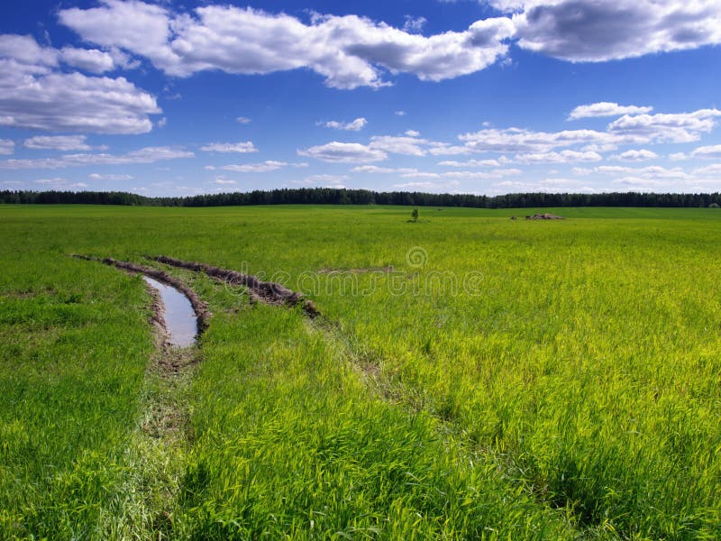 Road through field. stock photo. Image of discovery, summer - 25533582