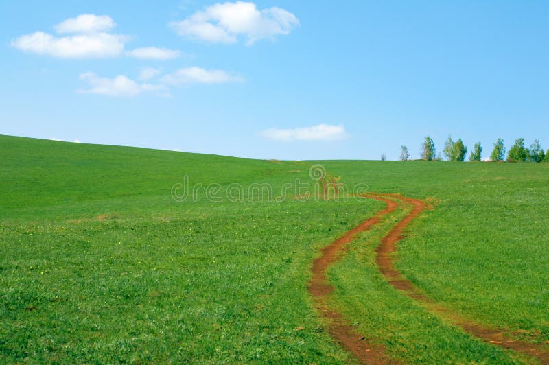 Road in field stock image. Image of green, nature, grass - 5664279