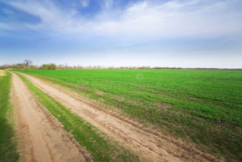 Road in field stock image. Image of green, growth, agriculture - 71214229