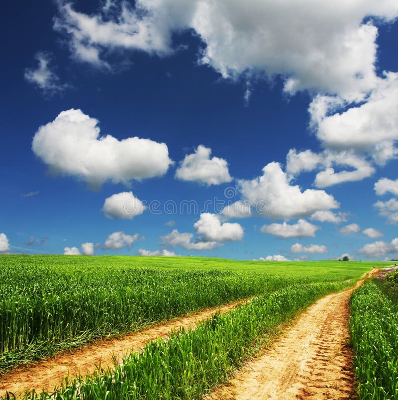 Road in field stock photo. Image of adventure, landscapes - 7892042
