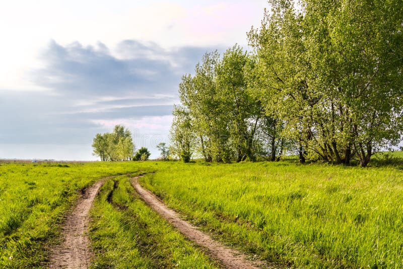Road in field stock image. Image of spring, sunset, tree - 40561277