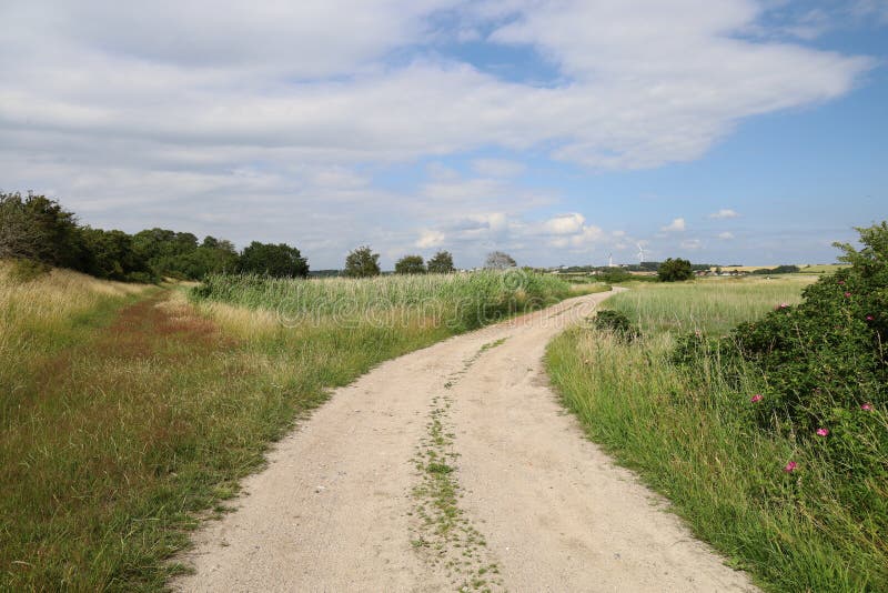 Road in a Field Covered in Greenery Under a Blue Cloudy Sky and ...