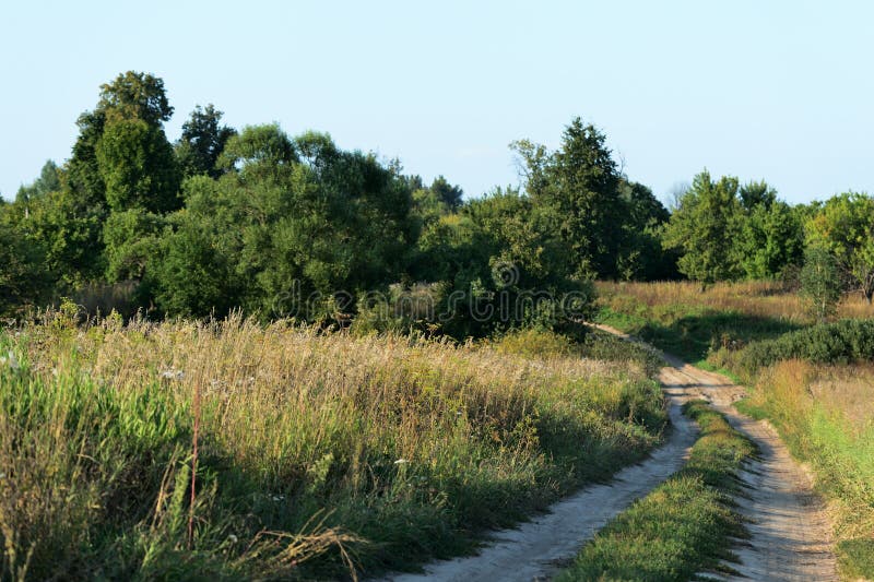 The Road in the Field. Evening Rural Scene Stock Photo - Image of lane ...