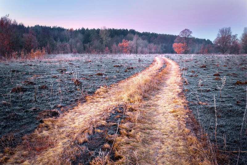 Road in Field with Faded Grass Stock Image - Image of rural, field ...