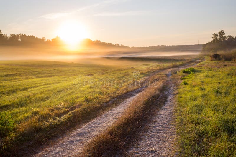Road in field stock photo. Image of adventure, landscapes - 7892042