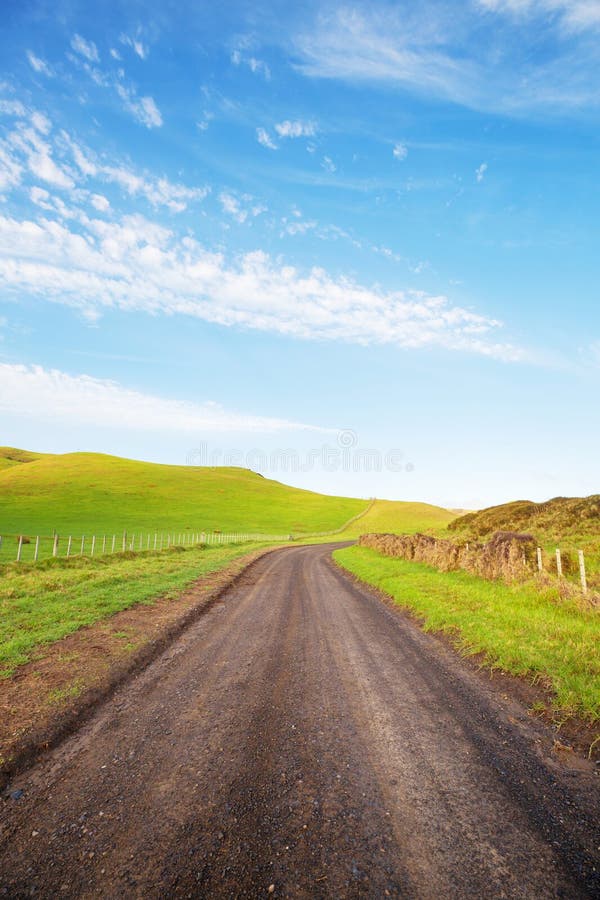 Road in field stock photo. Image of adventure, landscapes - 7892042
