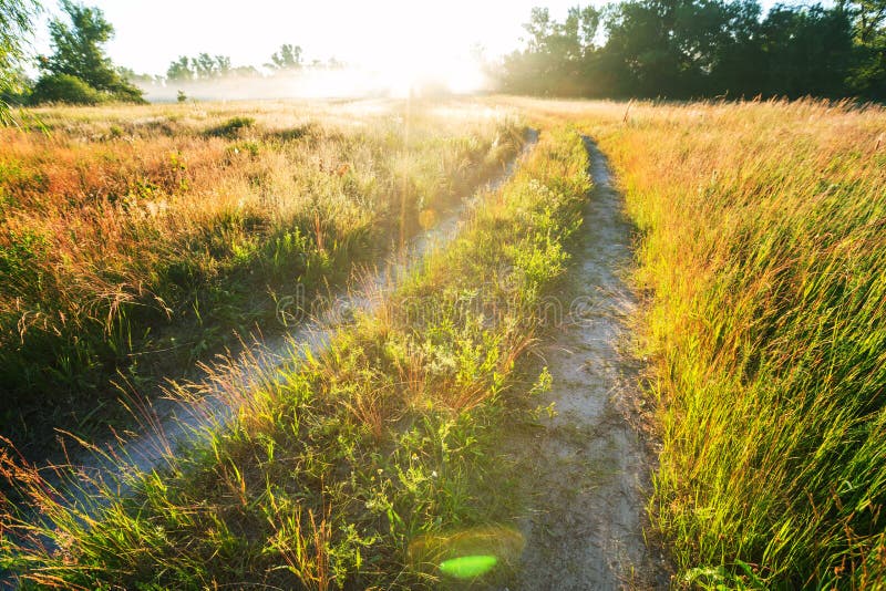 Road in field stock photo. Image of adventure, landscapes - 7892042