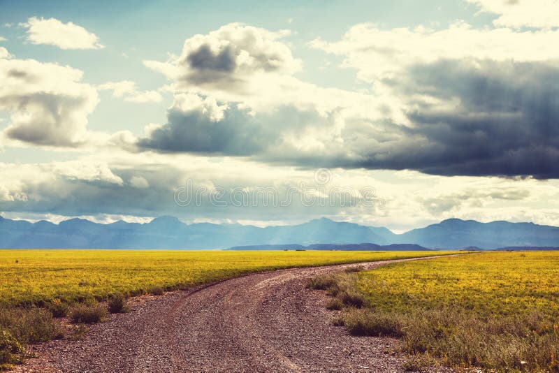 Road in field stock photo. Image of adventure, landscapes - 7892042