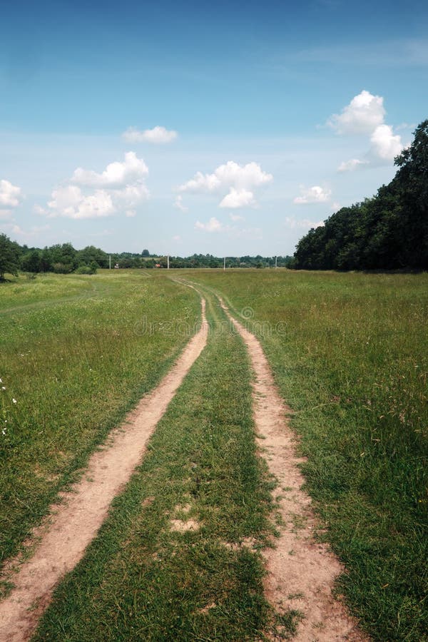 Road, field and forest stock photo. Image of rural, freedom - 118824492