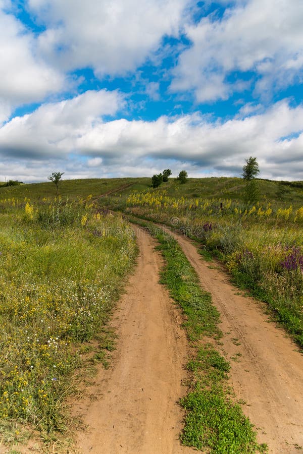 Road in field stock image. Image of landscape, leaving - 66123425