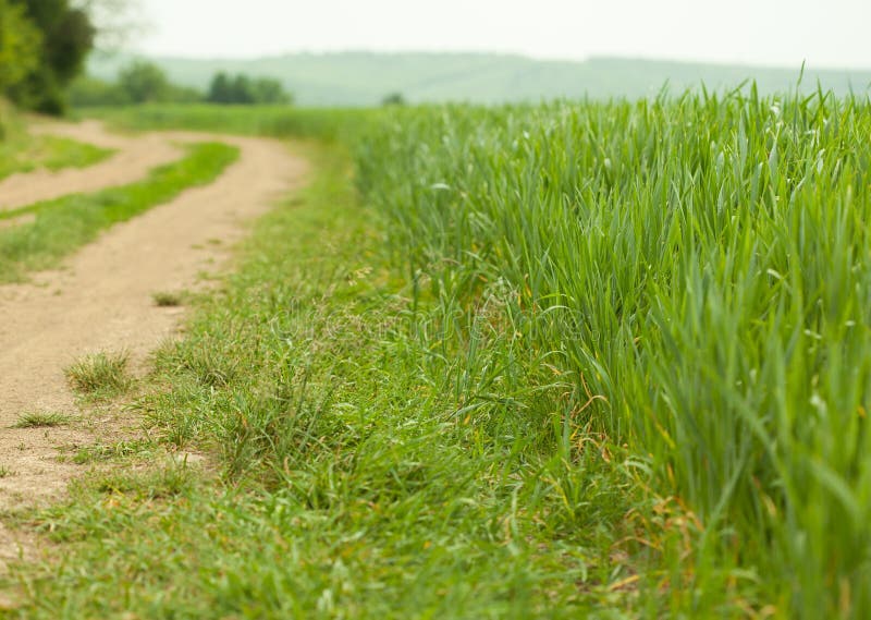 Road and field stock image. Image of growth, environment - 39584123