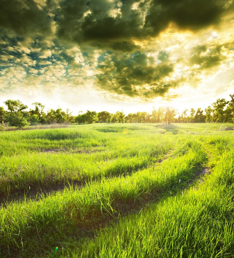 Road in field stock image. Image of clouds, grassland - 54188941