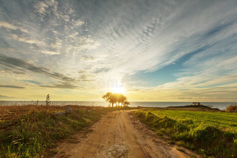 Road in field stock photo. Image of sunset, grass, serenity - 54189456