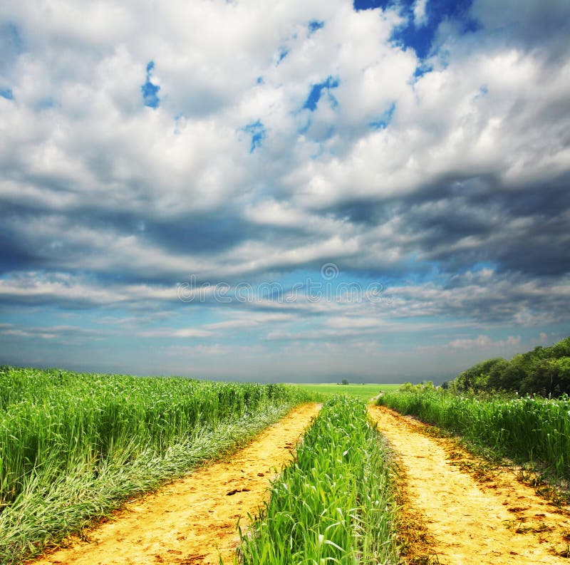 Road in field stock image. Image of country, trip, grass - 54186397
