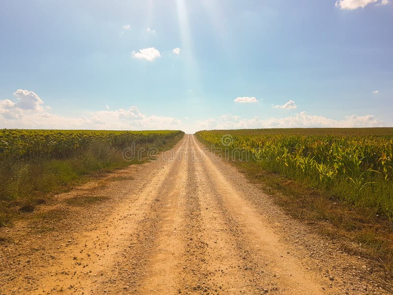 Road in field stock image. Image of road, nature, field - 97266331