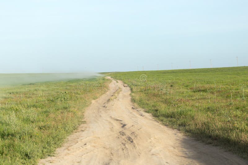 Road in a field stock photo. Image of plant, spring - 105469622