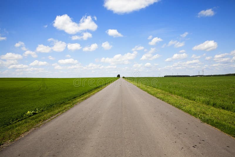 Road in a field stock photo. Image of country, bright - 69063714