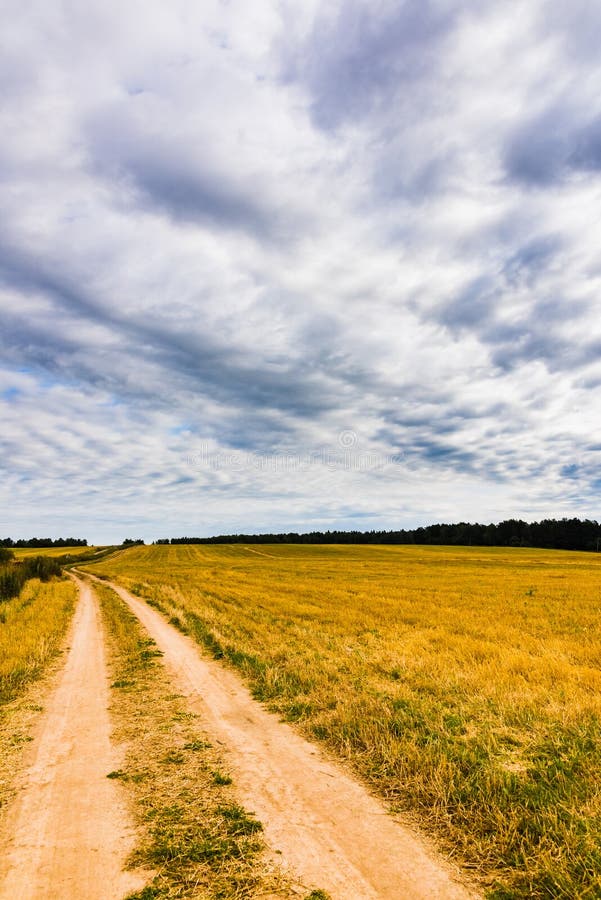Road in the field stock image. Image of cloud, meadow - 98810117