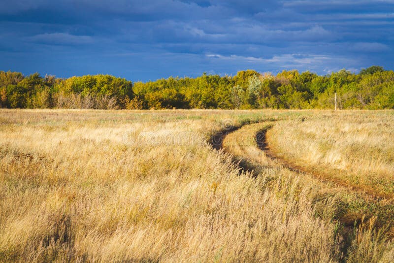 Road in Field at Sunset. Beautiful Sunset and Field Road Stock Photo ...