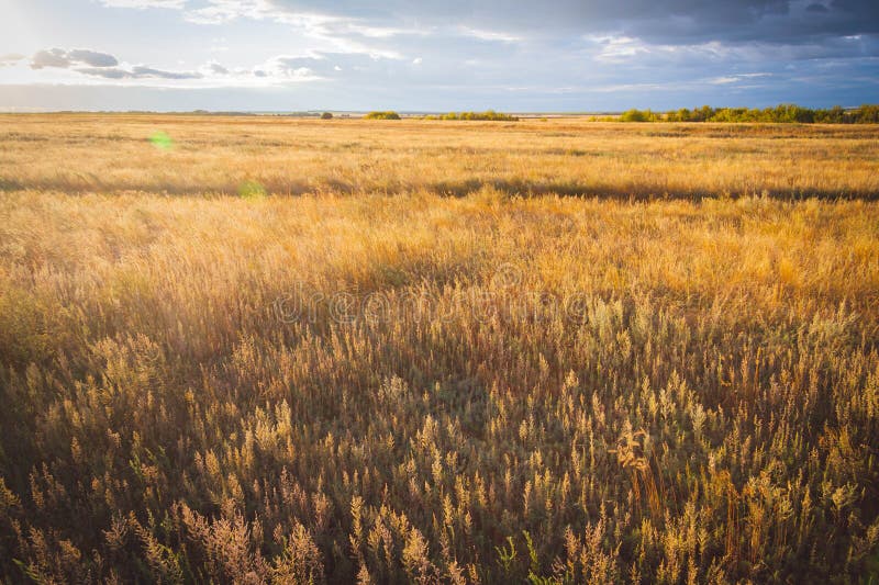 Road in Field at Sunset. Beautiful Sunset and Field Road Stock Image ...