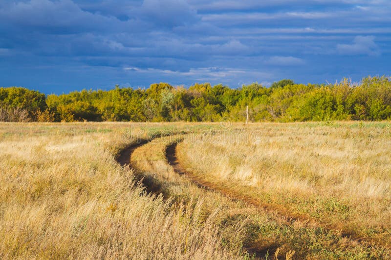 Road in Field at Sunset. Beautiful Sunset and Field Road Stock Photo - Image of scene, light ...