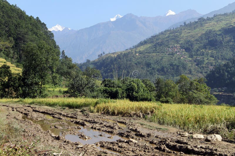 Road and field stock photo. Image of outdoors, roadside - 36010334