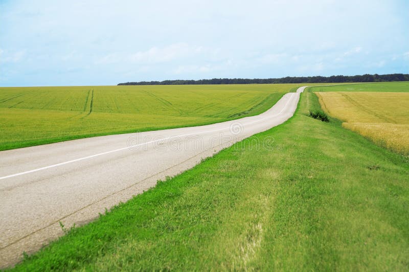 Road and fields stock photo. Image of lawn, country, horizontal - 20903106
