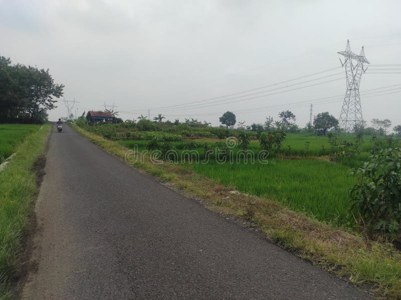 Road in the fields stock photo. Image of hill, field - 266801588