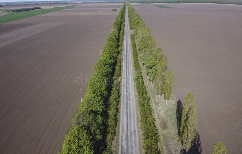 Road, Fields and Green Trees on Both Sides of the Road Stock Image ...